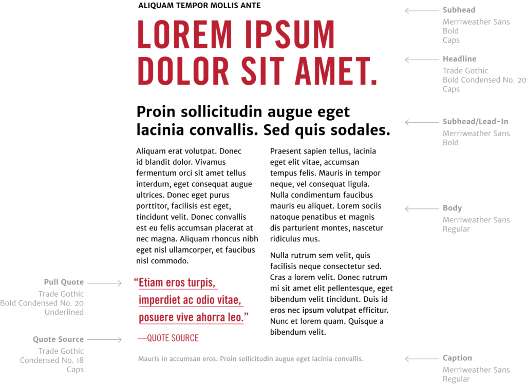 Visual Style - University of Georgia Brand Style Guide