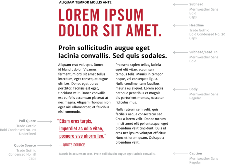 Visual Style - University of Georgia Brand Style Guide