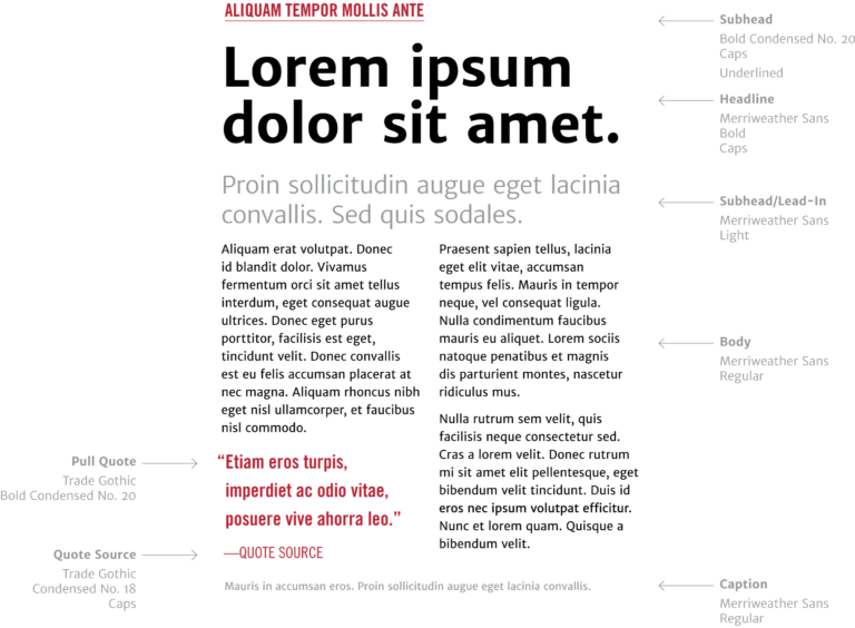 Visual Style - University of Georgia Brand Style Guide
