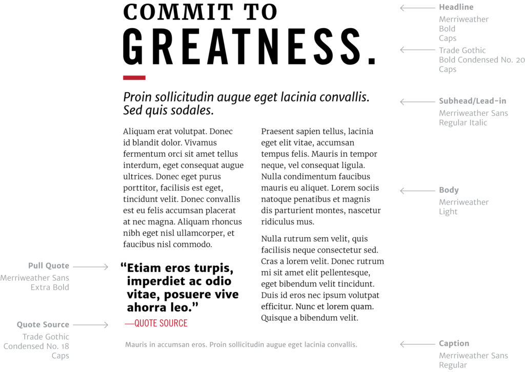 Visual Style - University of Georgia Brand Style Guide